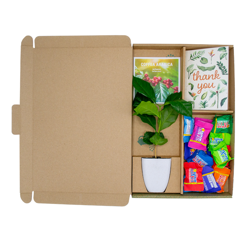 Baumgeschenk Tiny Tony's | Öko Geschenk - Greengiving.de